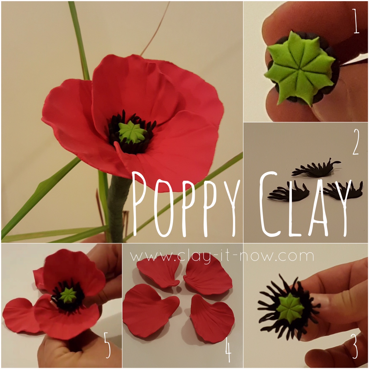 Poppy Flower Tutorial